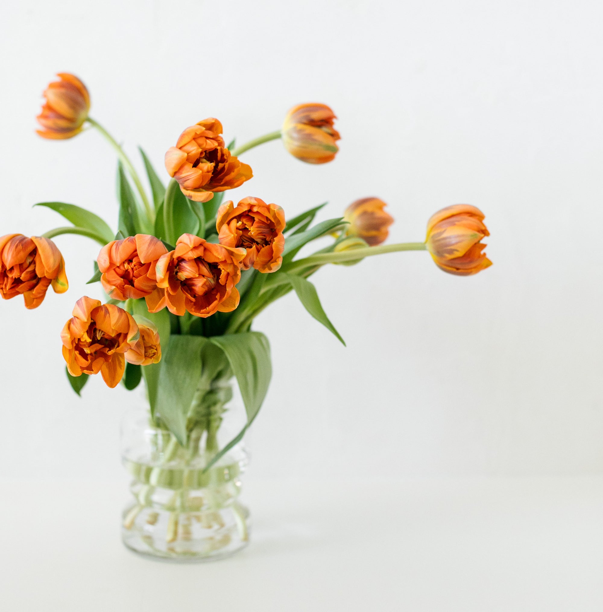 Buds on Buderim Florist and Gifts on the Sunshine Coast